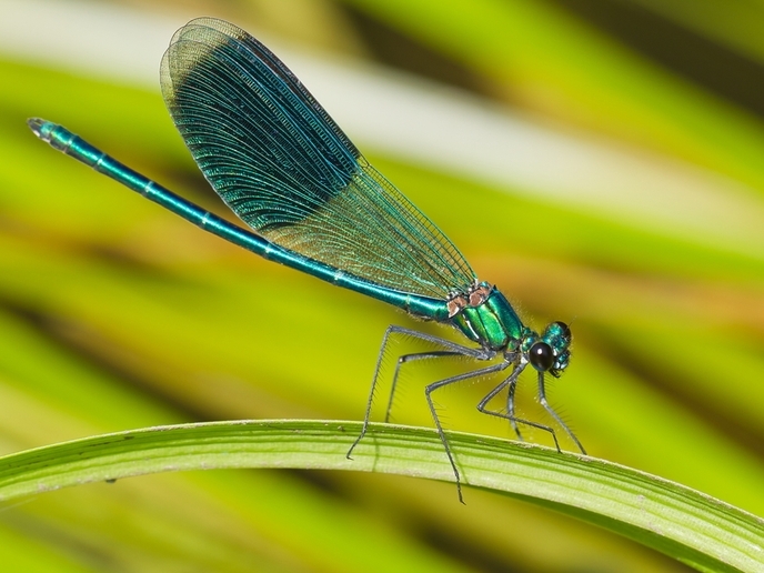 MINIRES project on CORDIS